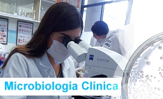 Microbiología Clínica.⠀⠀⠀⠀⠀⠀⠀⠀⠀⠀ - fi-learning